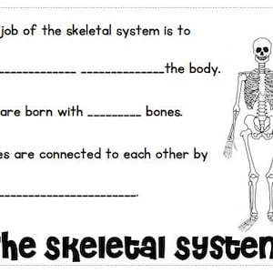 Human Body Systems Flipbook for Primary Grades - Etsy