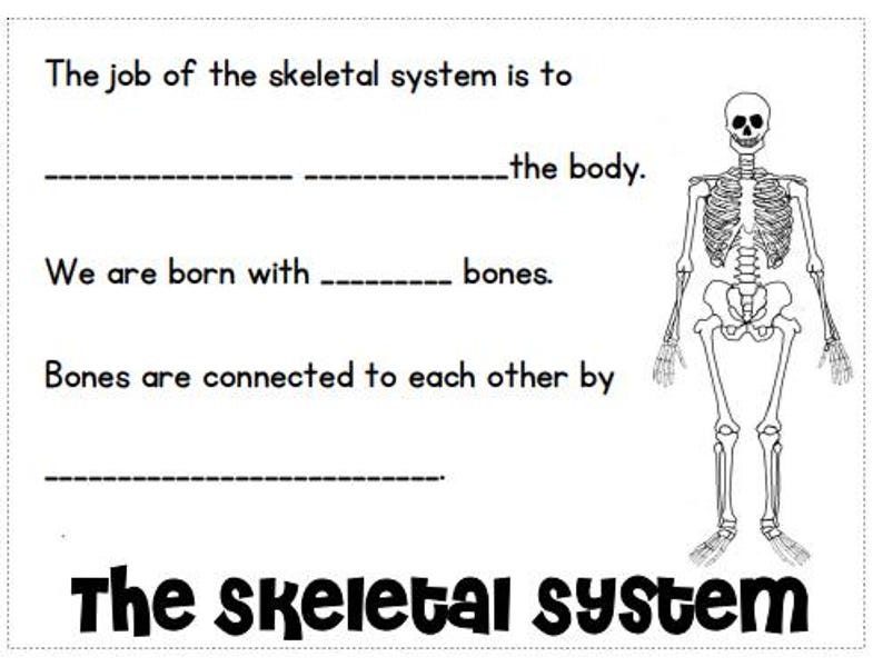 Human Body Systems Flipbook for Primary Grades - Etsy