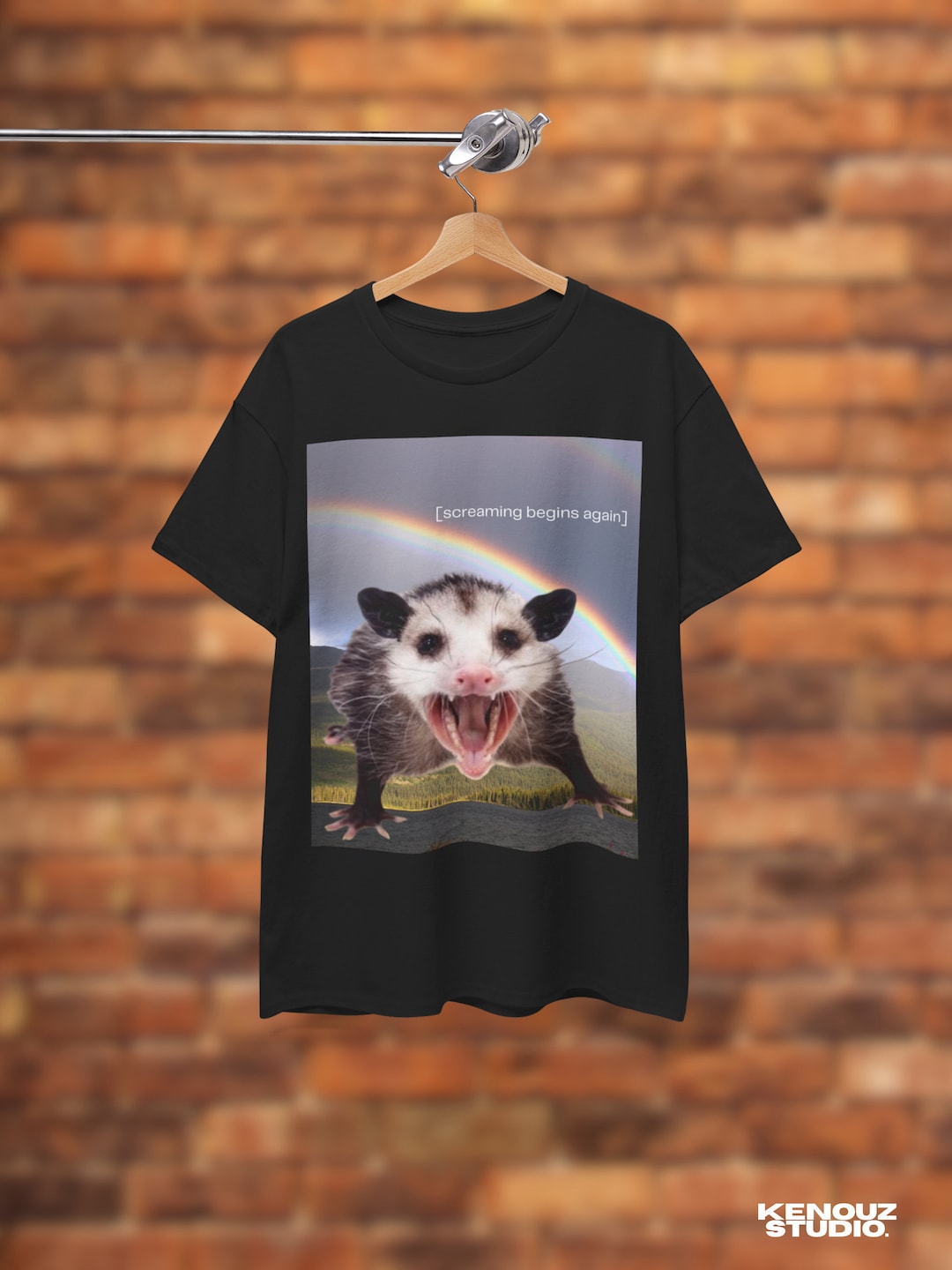 Screaming Begins Again Possum Unisex Heavy Cotton Tee Possum Shirt ...