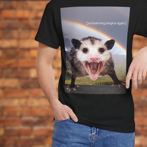 Screaming Begins Again Possum Unisex Heavy Cotton Tee Possum Shirt ...