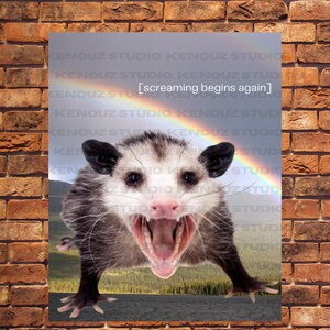 Screaming Begins Again Possum Unisex Heavy Cotton Tee Possum Shirt ...