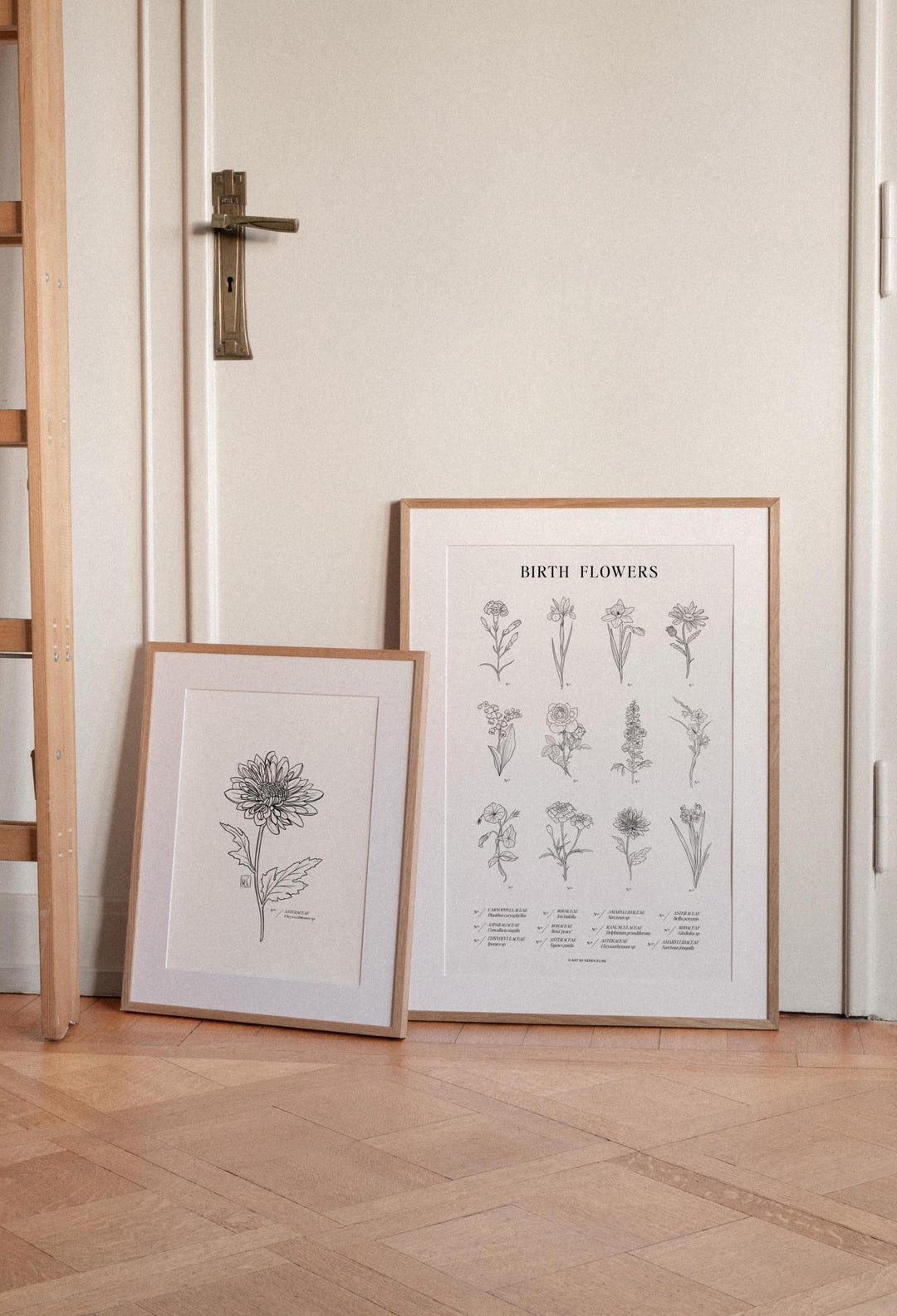Birth Month Flower Chart: Botanical Art Print (digital Download) - Etsy