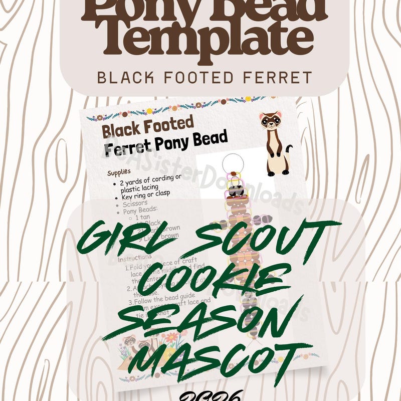 Cookie Season Photo Props - Etsy