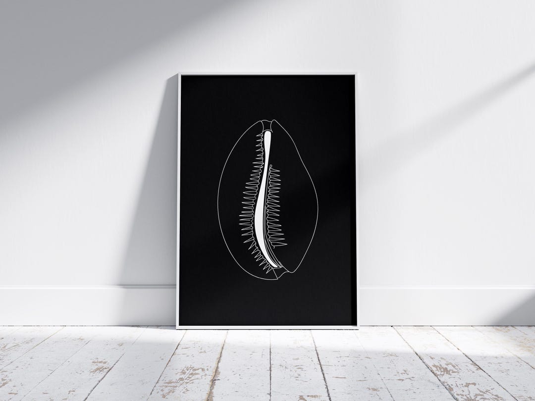 Black and White Minimalist Cowrie Shell Illustration Art Print - Etsy