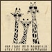 Giraffe Svg, Giraffe Png, Giraffe Silhouette Png, Cute Giraffe Svg ...