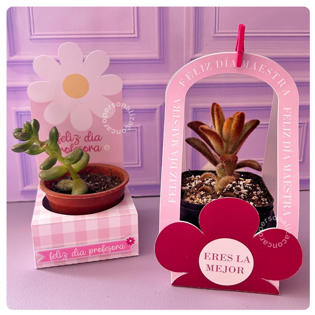 Plantilla Cajita Para Maceta Pdf Studio Y Png Plant Box Gift Cajitas