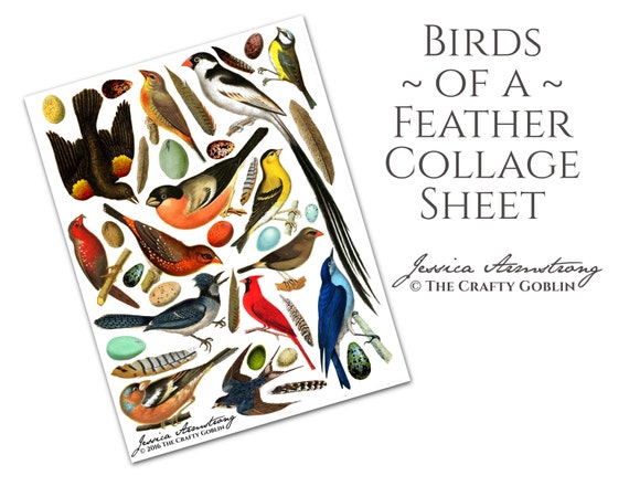 Birds of a Feather Collage Sheet | Etsy