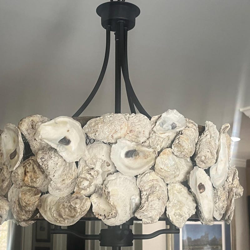 Shell Chandelier - Etsy