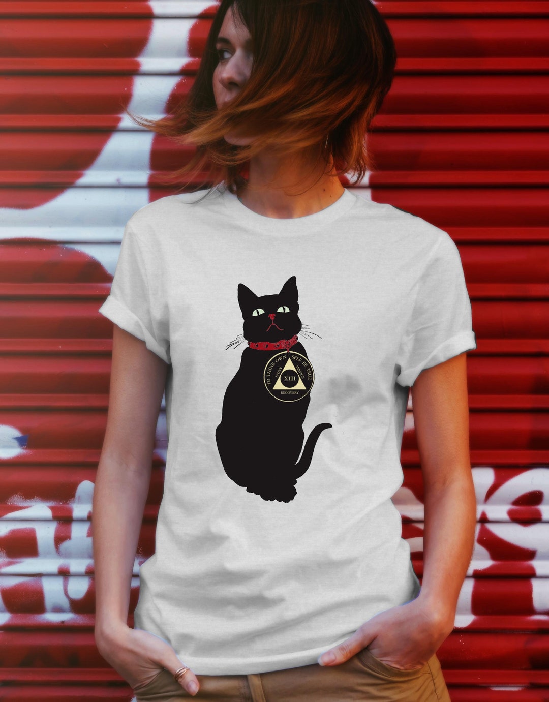Black Cat AA Medallion Tshirt Alcoholics Anonymous Recovery Sponsor ...
