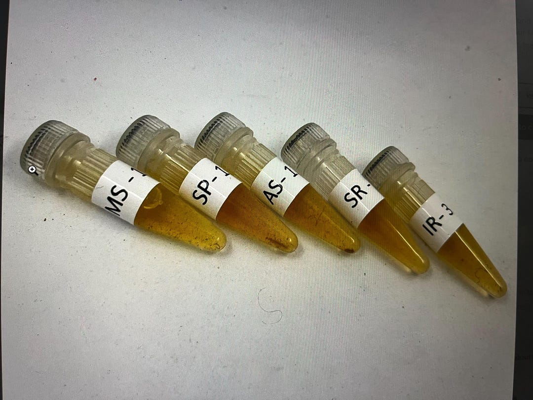 Dangerous 4 Dinosaur Dna Vials - Etsy