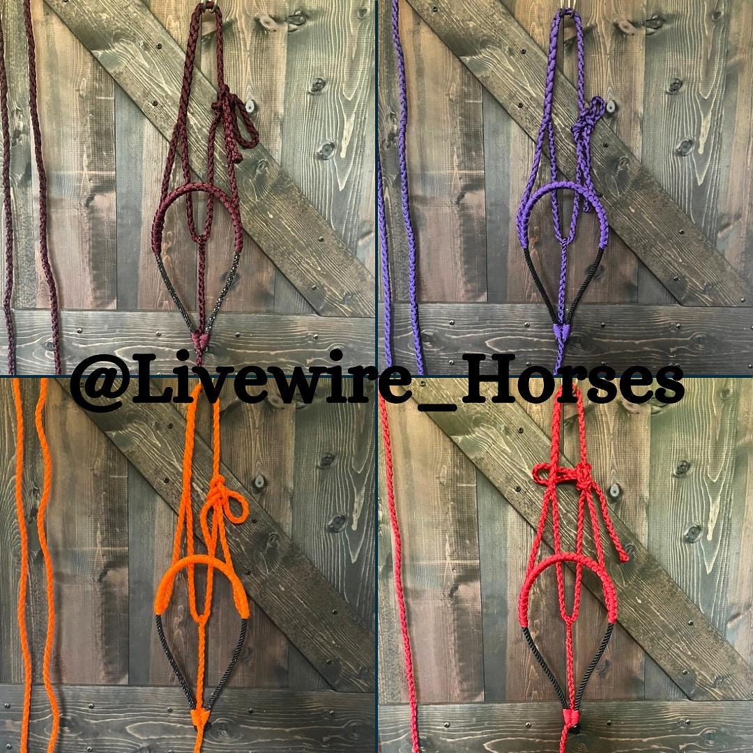 Lariat Mule Tape Halters - Etsy