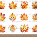 Fall Leaf Watercolor Clipart Bundle - Autumn Leaves PNG -thanksgiving ...