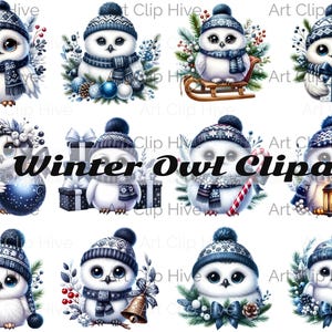 Cute Christmas Owl Clipart, Owlet Png, Watercolor Owl Clipart, Cute ...