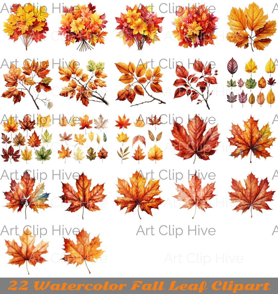 Fall Leaf Clipart Bundle, Autumn Fallen Leaves PNG, Watercolor Foliage ...