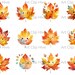 Fall Leaf Watercolor Clipart Bundle - Autumn Leaves PNG -thanksgiving ...