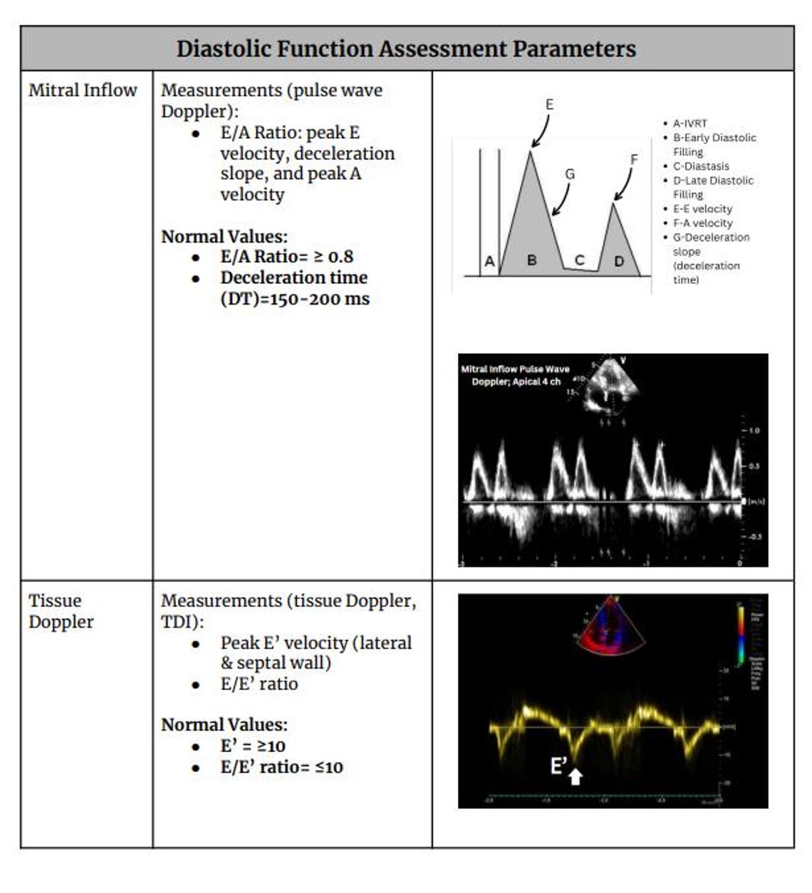 Cardiac Sonography/echocardiography Study Guide/notes - Etsy