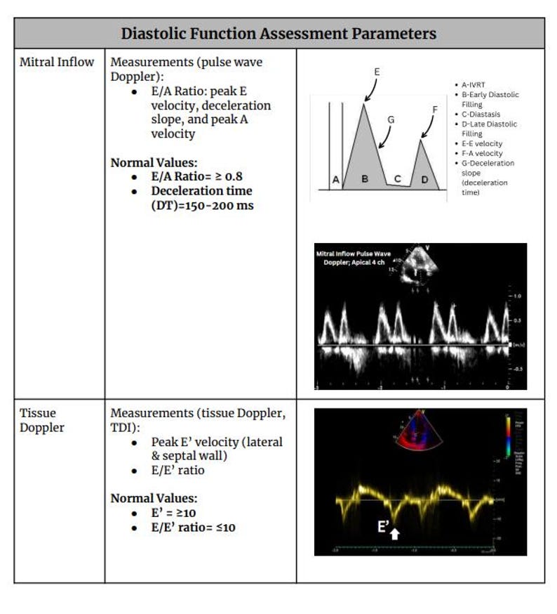 Cardiac Sonography/echocardiography Study Guide/notes - Etsy