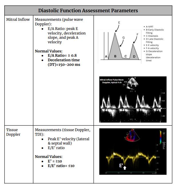 Cardiac Sonography/echocardiography Study Guide/notes - Etsy