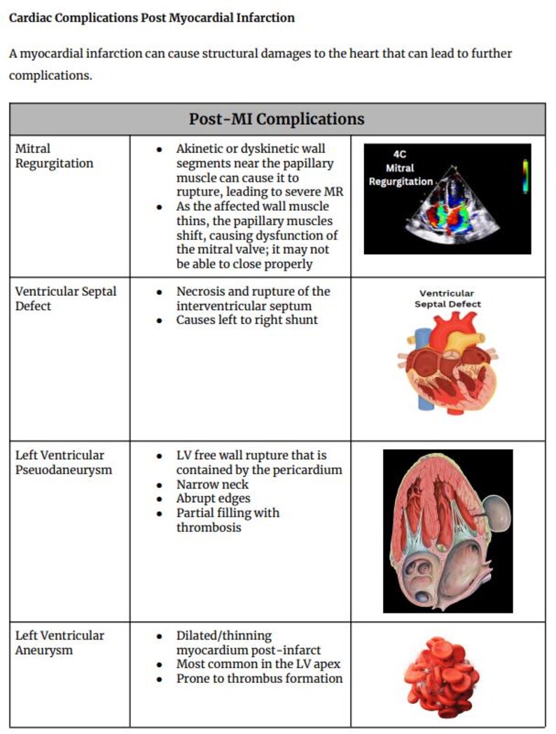 Cardiac Sonography/echocardiography Study Guide/notes - Etsy