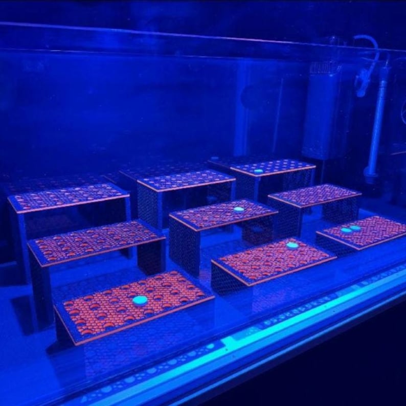 Frag Racks - Etsy