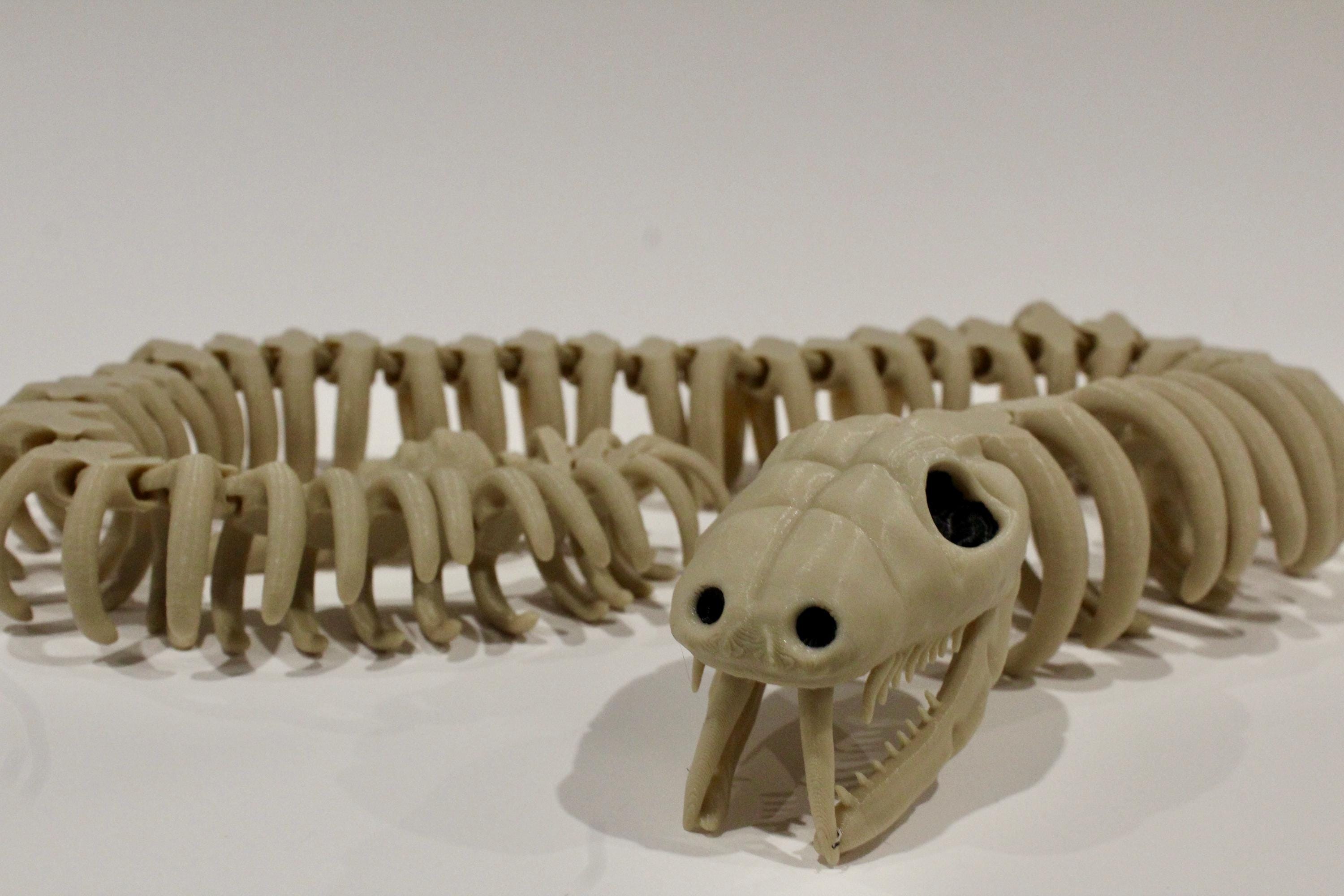 3D Printed Articulating Snake Skeleton - Etsy