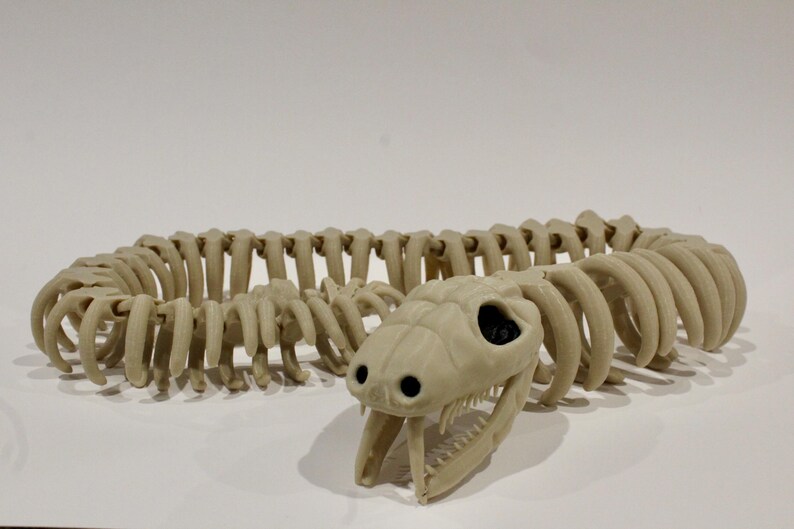 3D Printed Articulating Snake Skeleton - Etsy