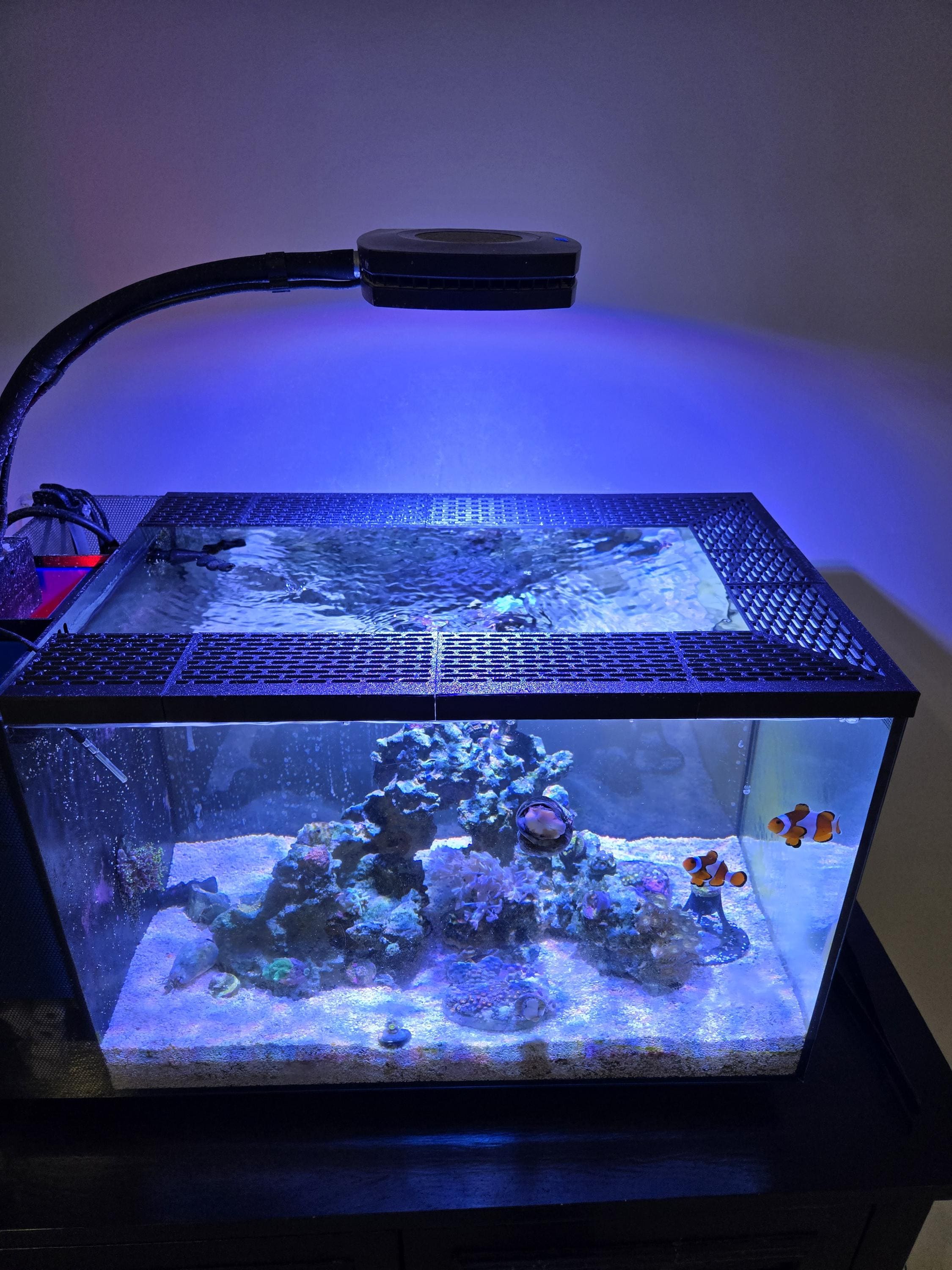Fluval Sea Evo 13.5 Gallon 3D Printed Jump Guard - Etsy