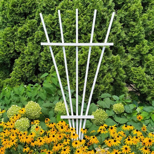 Trellis - Etsy