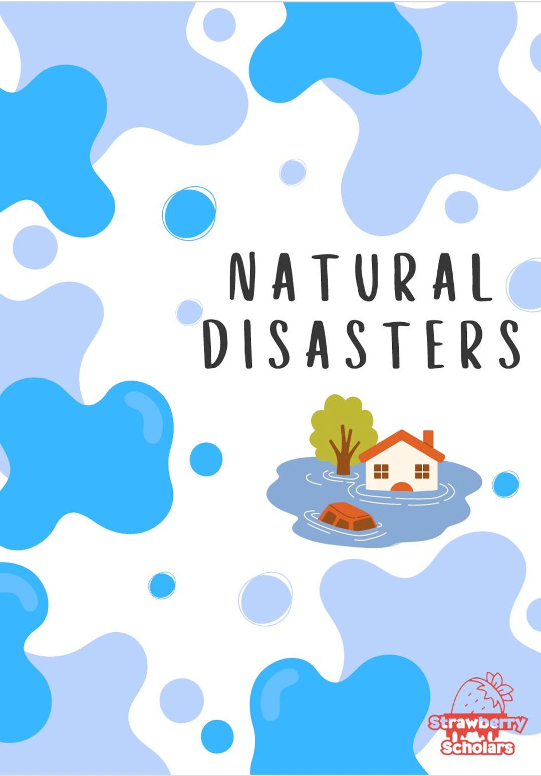 Natural Disasters for Beginners Booklet - Etsy