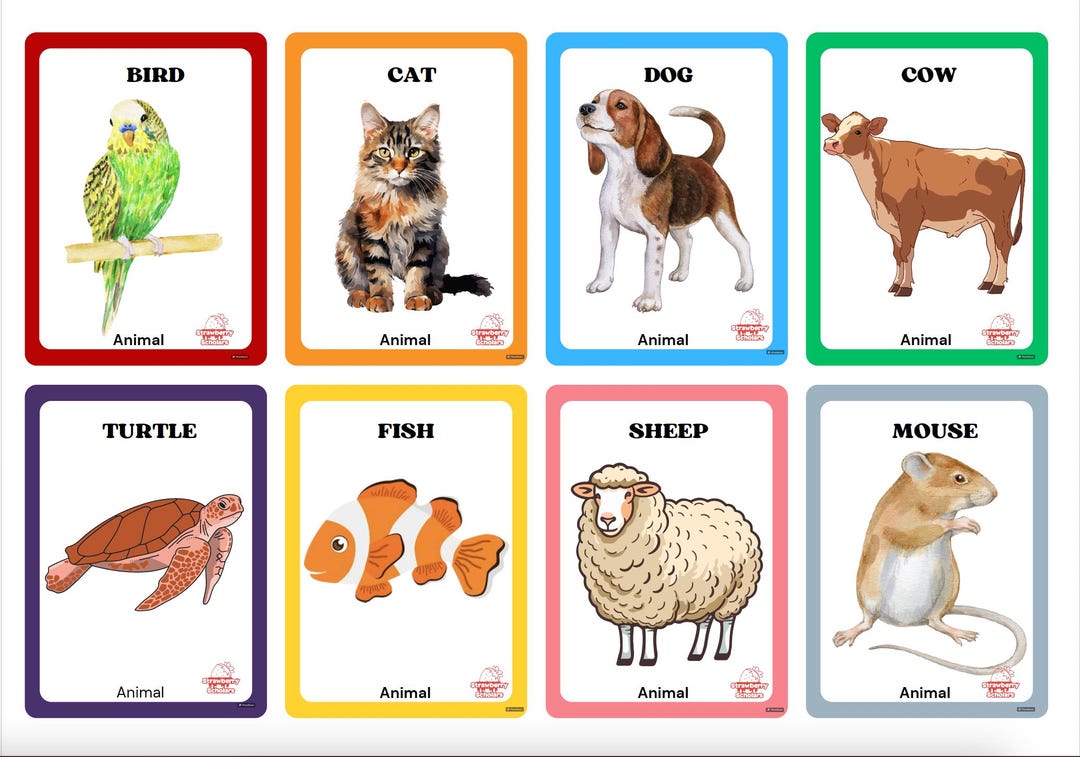 Collective Nouns Cards Colour Coded With Images - Etsy