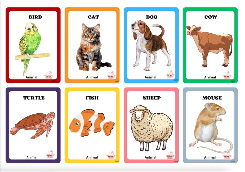 Collective Nouns Cards Colour Coded With Images - Etsy