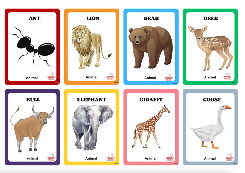 Collective Nouns Cards Colour Coded With Images - Etsy