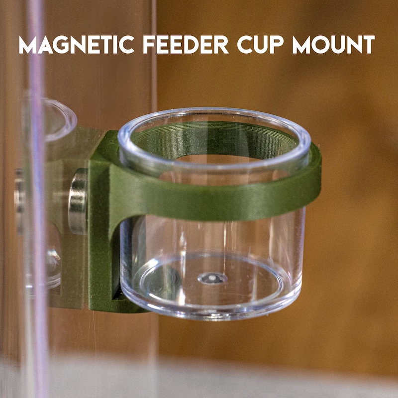 Jumping Spider Mantis - Etsy