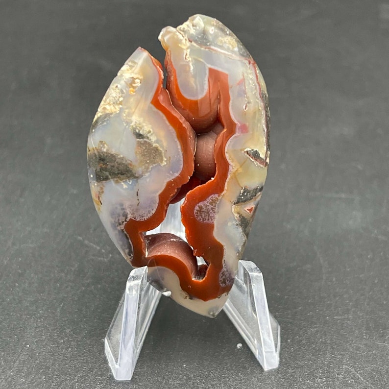 Extremely RARE Fortified Coprolite or Coprolith Cabochon - Etsy