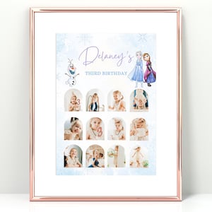 Frozen Winter Birthday Photo Board, Winter Princess Wonderland, Party ...