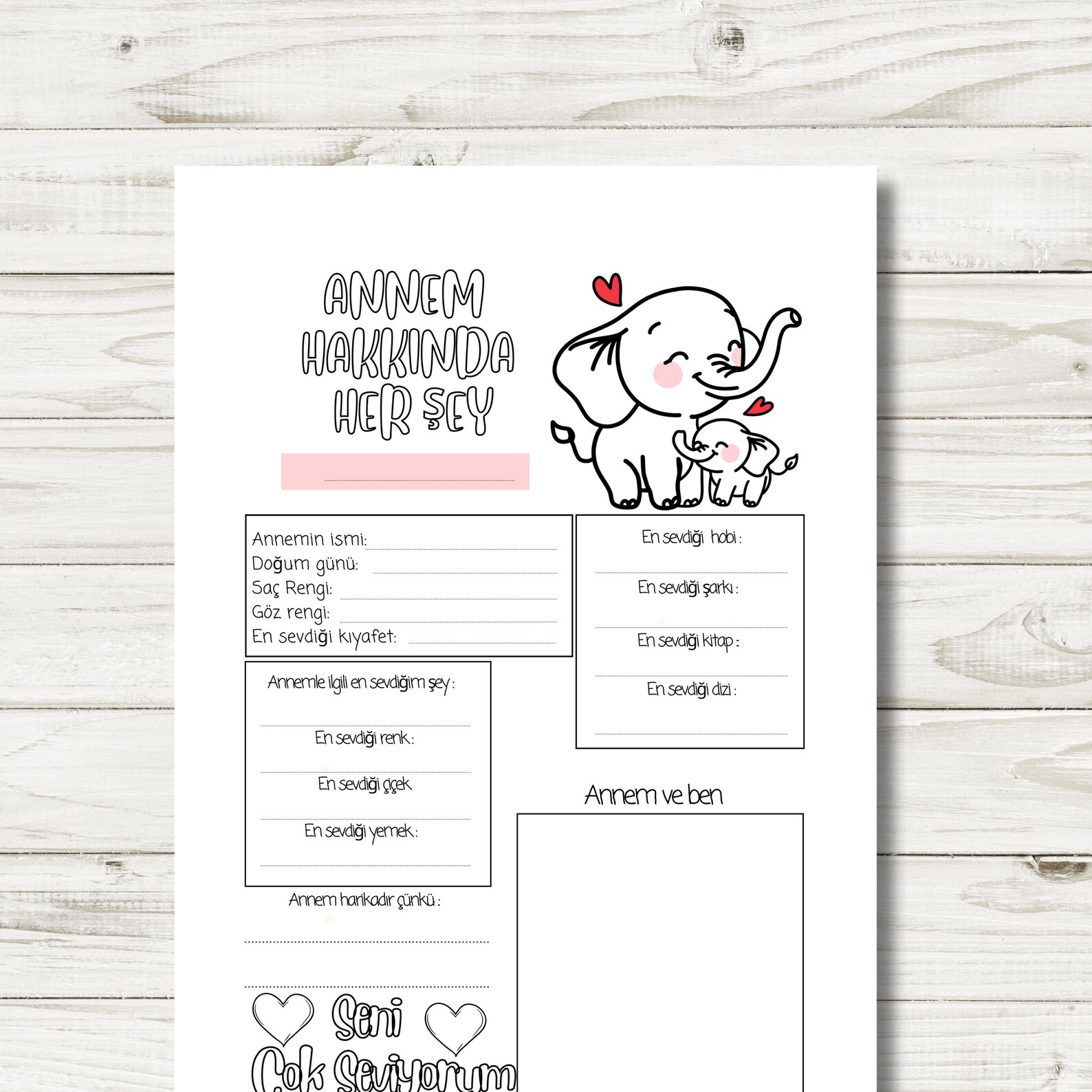 Türkçe All About My Mom, Elephant Lover,annem Hakkında Her şey ...