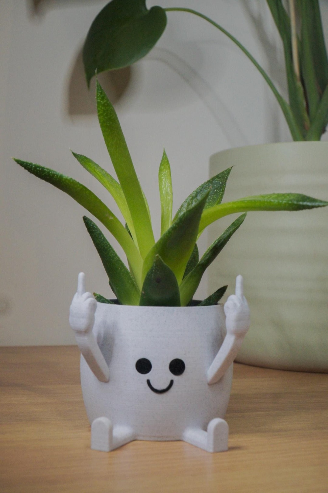 Happy Face Planter, Cheeky Middle Finger Succulent Planter - Middle ...