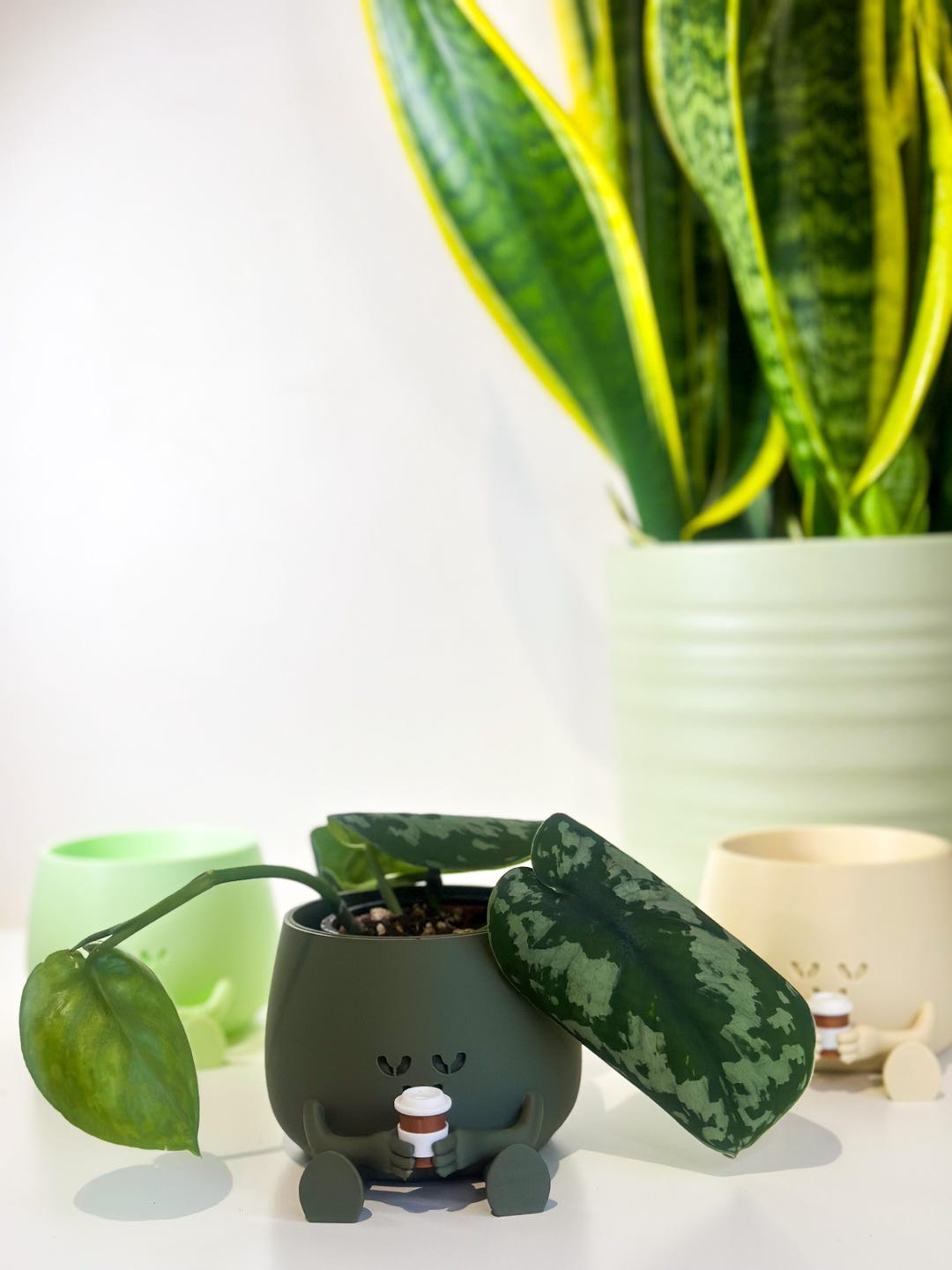 Happy Face Coffee Planter: Cute Coffee Plant Pot, Coffee Lover Gift ...