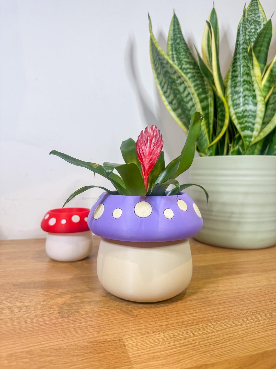 Large Cute Mushroom Planter | Cute Succulent Plant Pot | Perfect for ...