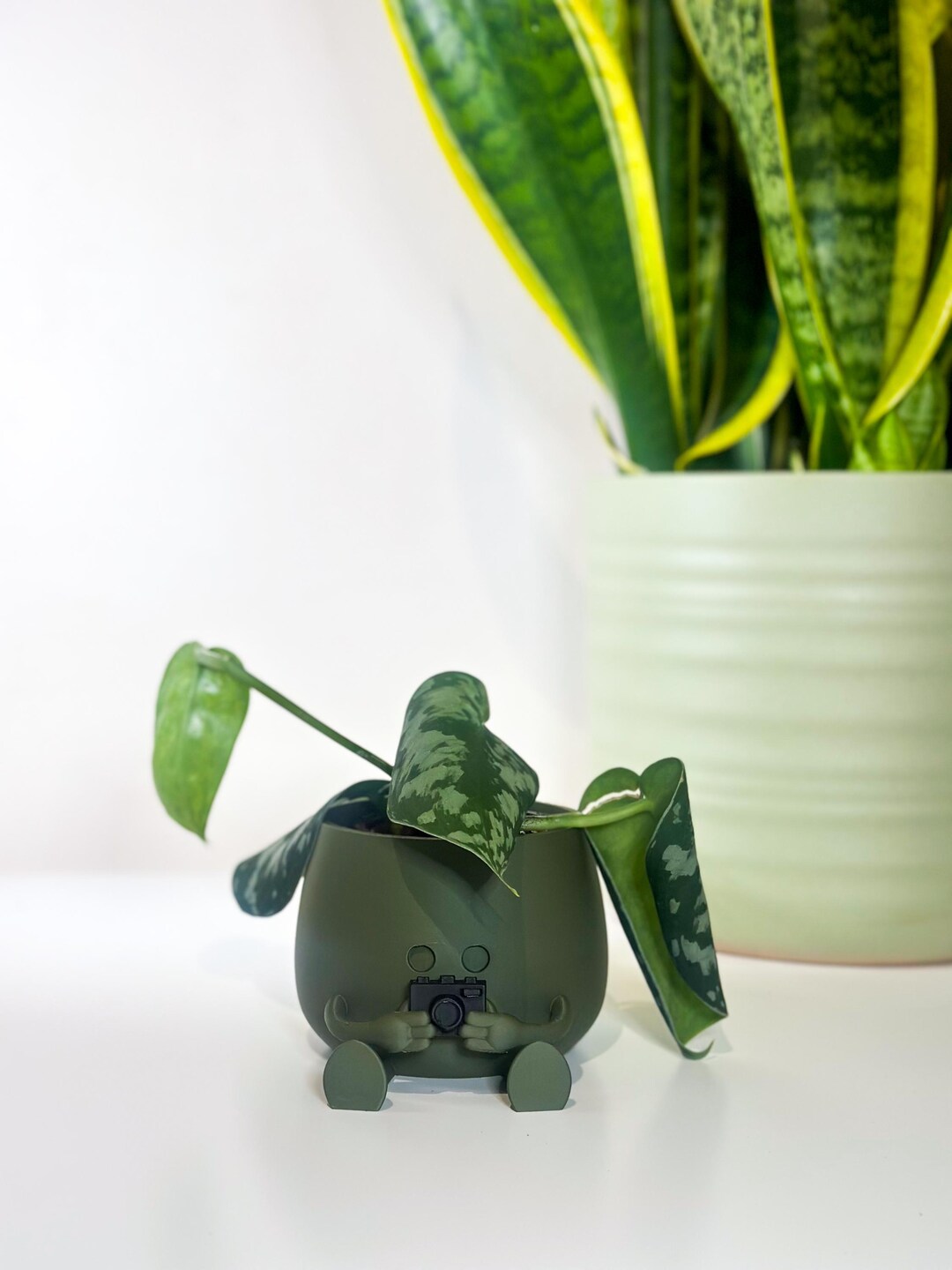 Happy Face Camera Planter: Photographer Gift, Camera Lover - Fun Modern ...
