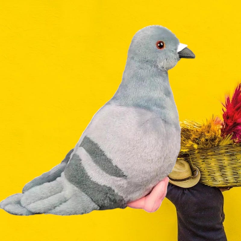 Pigeon Dolls - Etsy