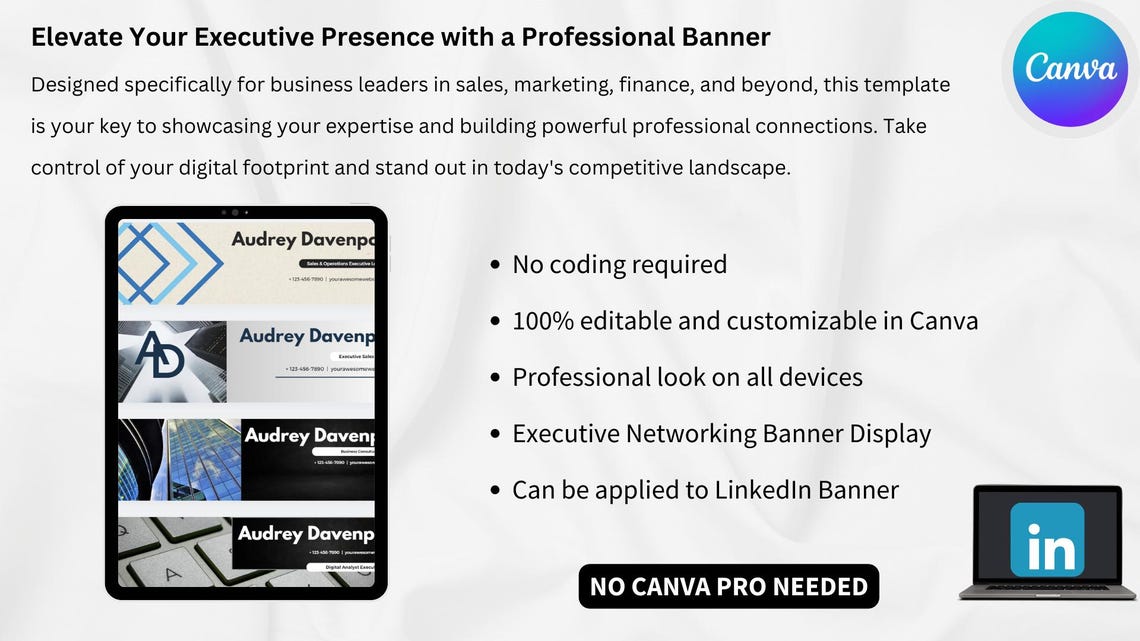 Linkedin Banner Template: Executive Branding Canva Design (digital ...