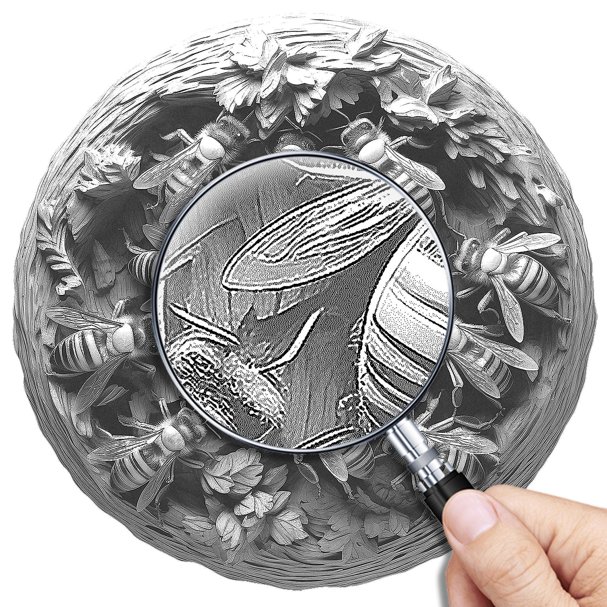 Laser Burn Engrave PNG File, 3D Illusion Image Photo, Cut Carve, Lightburn, Xtool, Glowforge ...