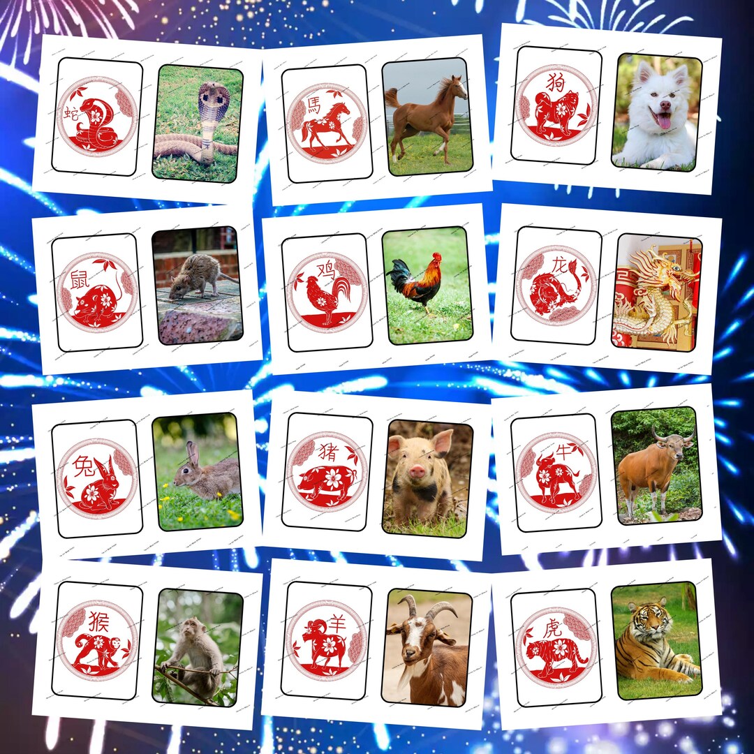 Chinese Zodiac Flashcards - Etsy