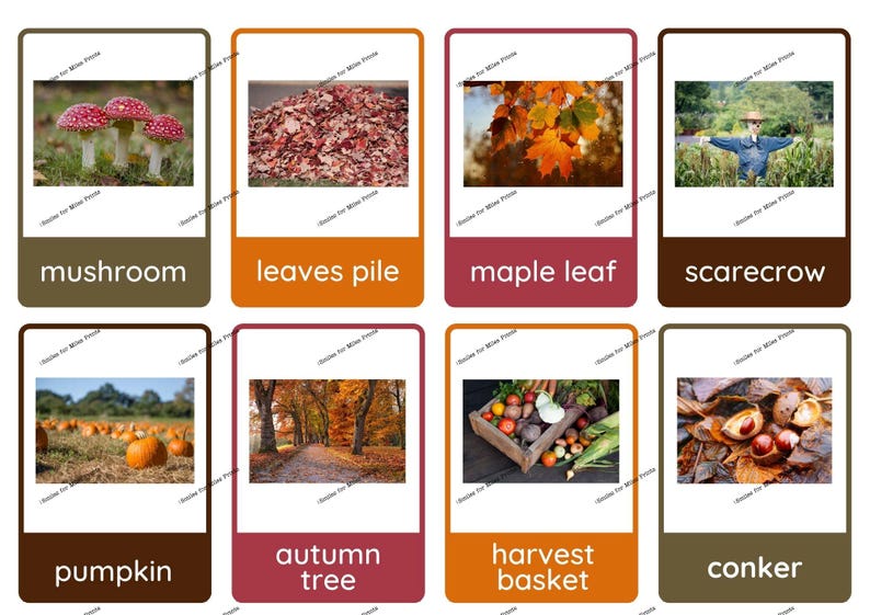 READY MADE Autumn Flashcard - Etsy