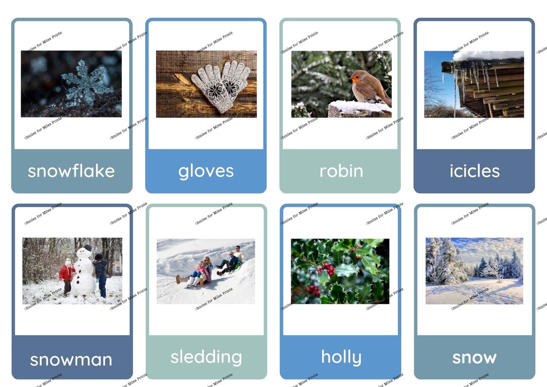 4 Seasons Flashcards - Etsy