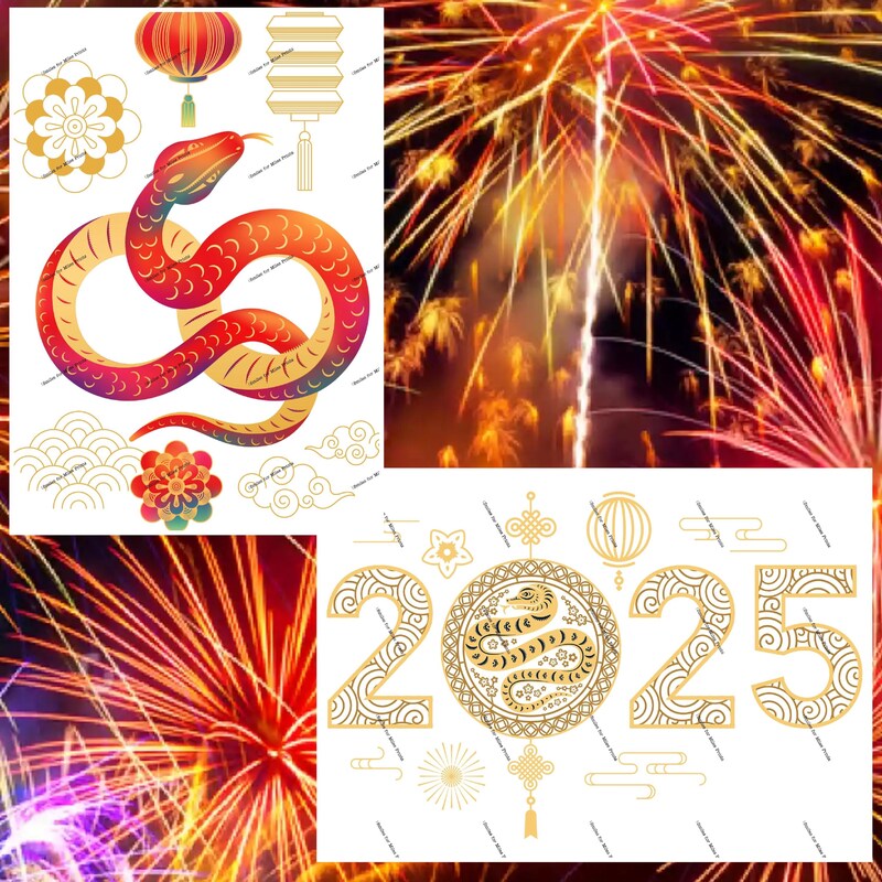 China New Year Poster - Etsy