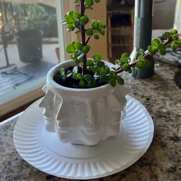 Multi Face Planter - Etsy