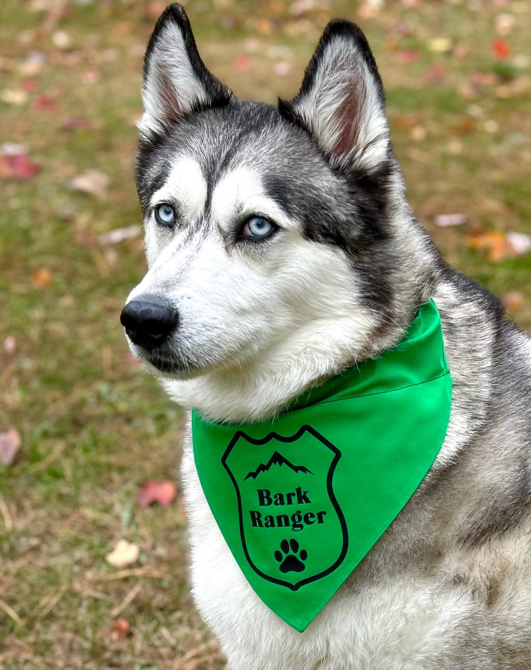 Bark Ranger Dog Bandana - Etsy