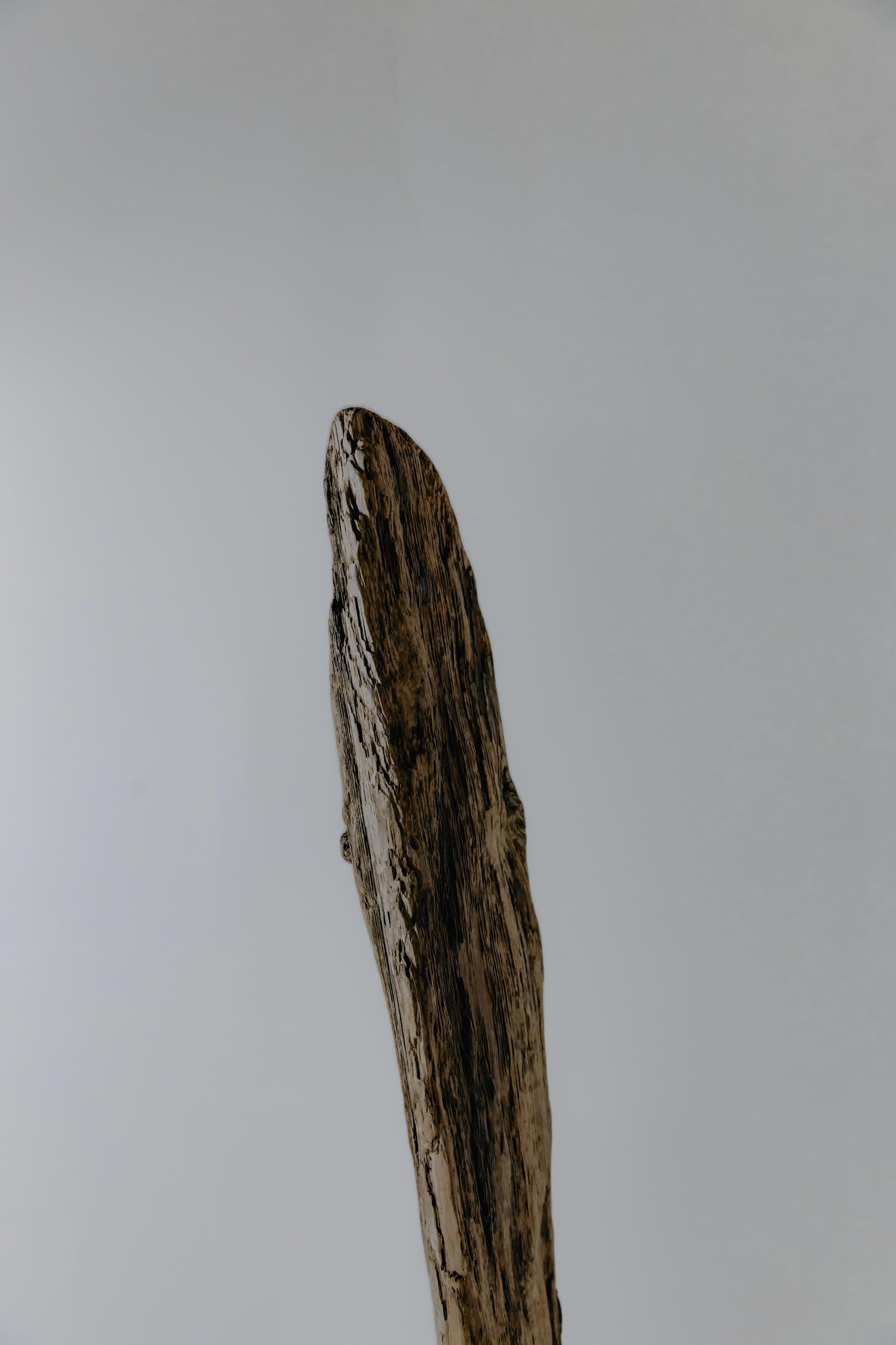 Driftwood and Steel "kai" - Etsy